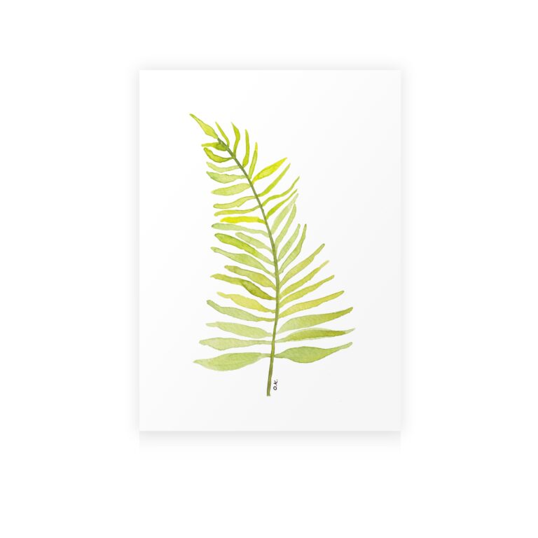 Organic Kitchen Cupboard Essentials - Etikora